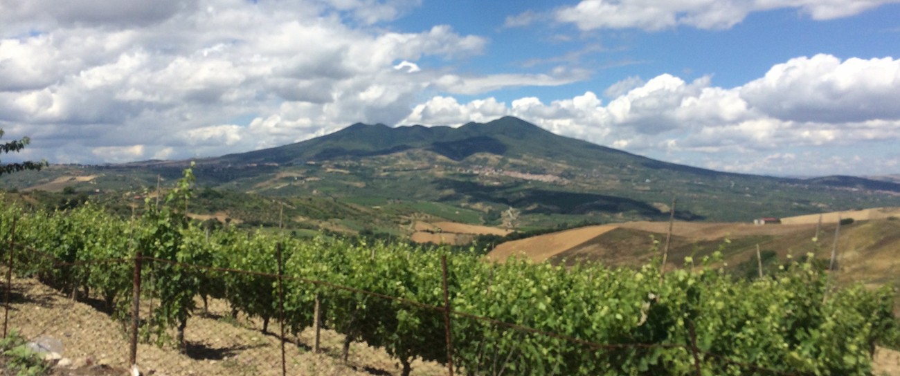 Wine in Basilicata - Quattrocalici - Italian Wine Regions