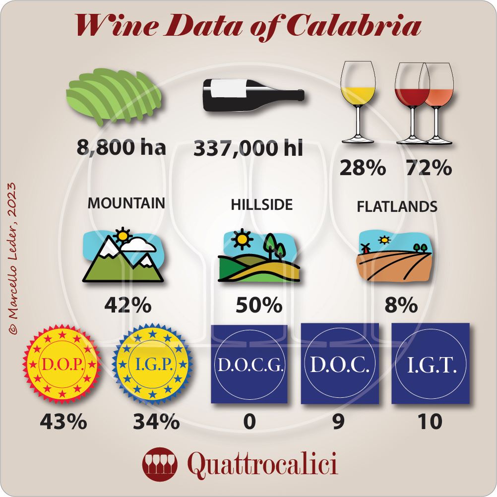 Wine in Calabria - Quattrocalici - Italian Wine Regions