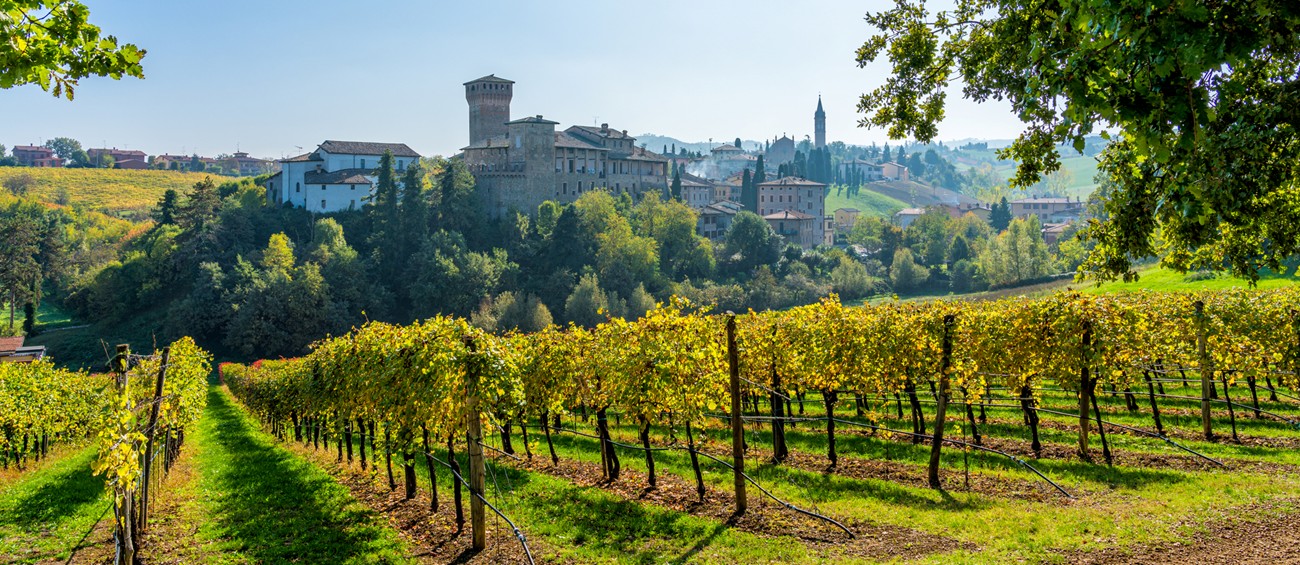 Wine in Emilia-Romagna - Quattrocalici - Italian Wine Regions