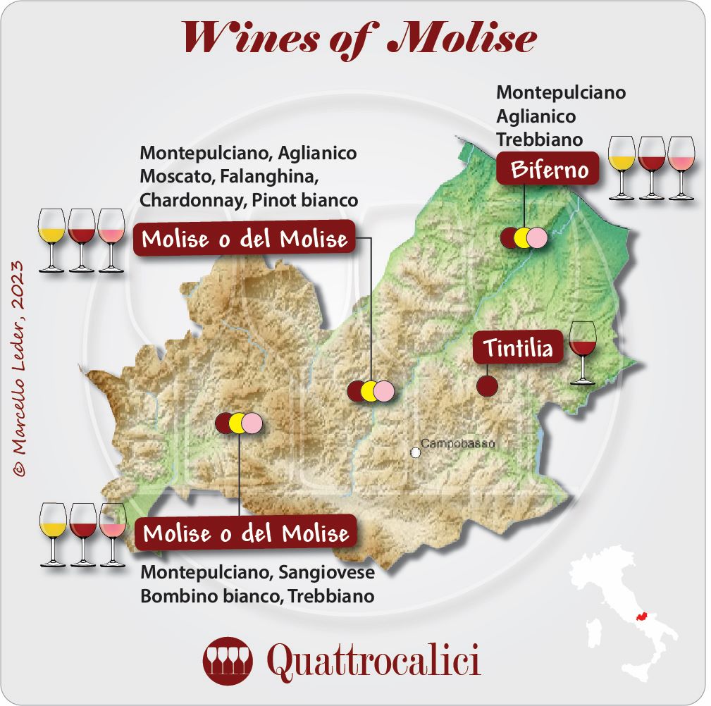 Wine of Molise - Italian Wine Regions - Quattrocalici