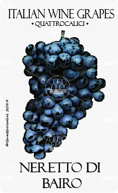 Neretto di Bairo - Quattrocalici - Italian Wine Grapes