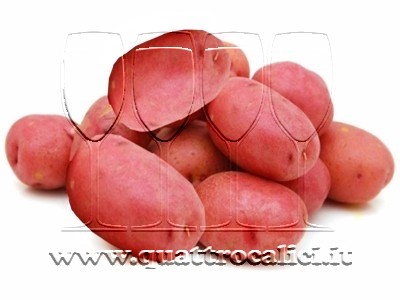 Umbria's Denominations of Origin - Quattrocalici