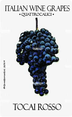 Tocai rosso - Quattrocalici - Italian Wine Grapes