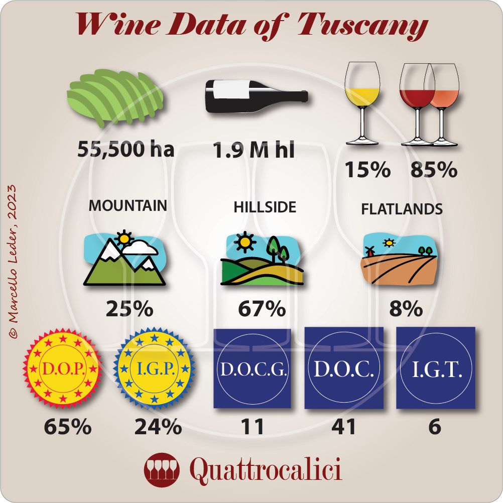 Wine in Tuscany - Italian Wine Regions - Quattrocalici