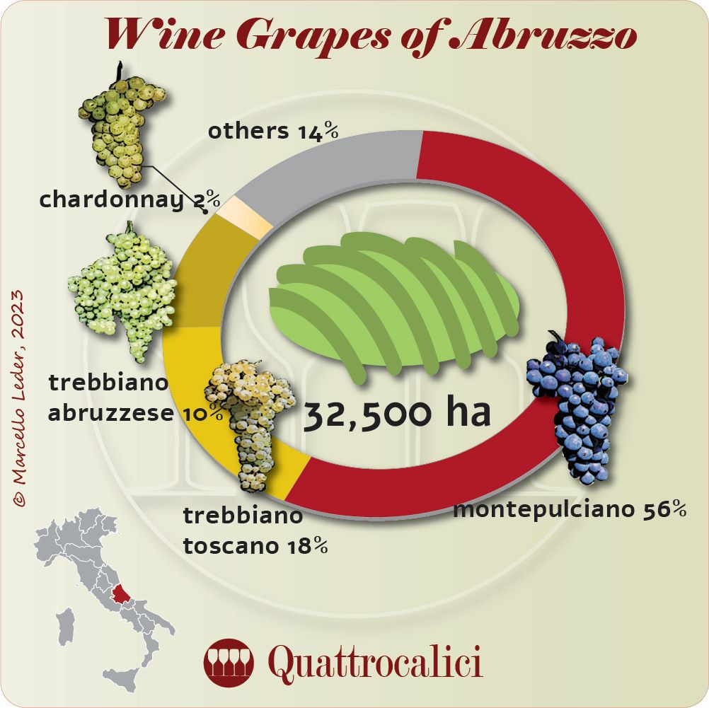 Wine grapes of Abruzzo - Quattrocalici