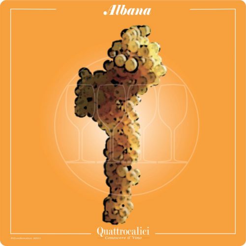 Albana - Quattrocalici - Italian Wine Grapes