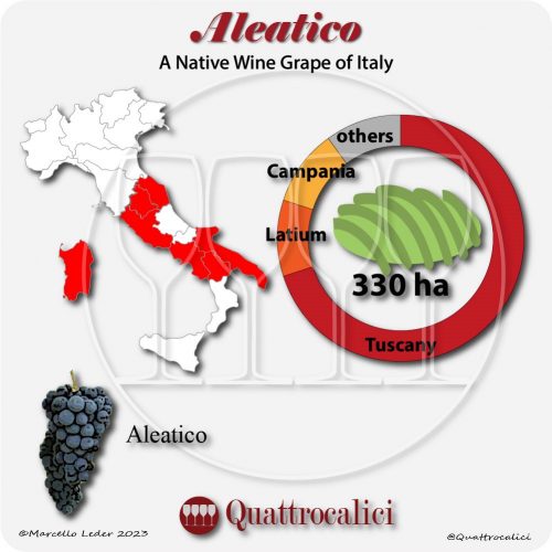 Aleatico - Quattrocalici - Italian Wine Grapes