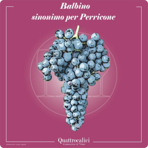 Balbino - Quattrocalici - Italian Wine Grapes