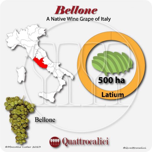 Bellone - Quattrocalici - Italian Wine Grapes