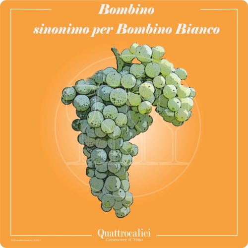 Bombino - Quattrocalici - Italian Wine Grapes
