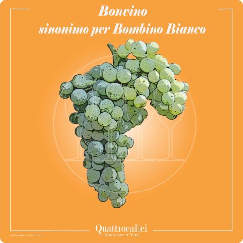 Bonvino - Quattrocalici - Italian Wine Grapes
