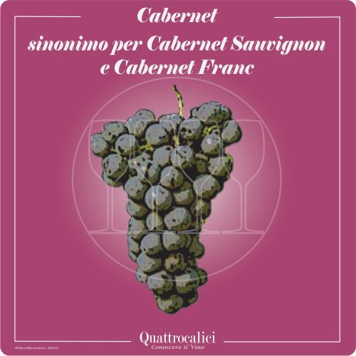Cabernet - Quattrocalici - Italian Wine Grapes