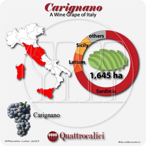 Carignano - Quattrocalici - Italian Wine Grapes