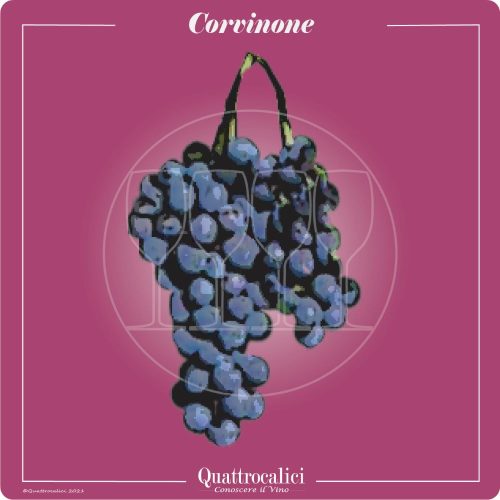 Corvinone - Quattrocalici - Italian Wine Grapes