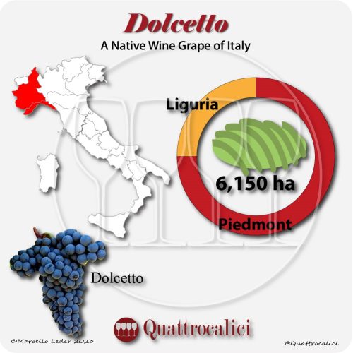 Dolcetto - Quattrocalici - Italian Wine Grapes