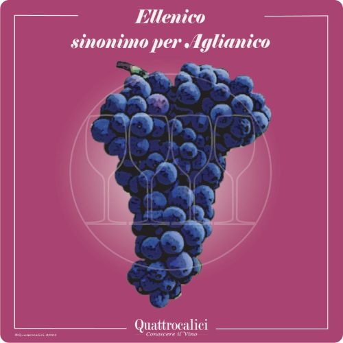 Ellenico - Quattrocalici - Italian Wine Grapes