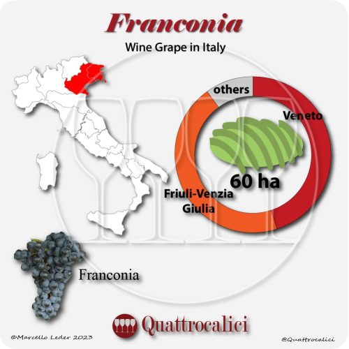 Franconia - Quattrocalici - Italian Wine Grapes