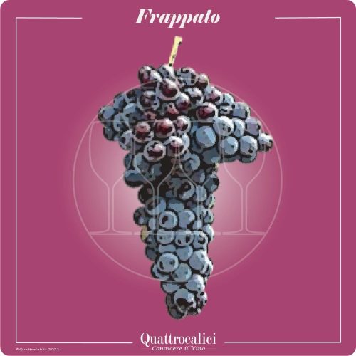 Frappato - Quattrocalici - Italian Wine Grapes