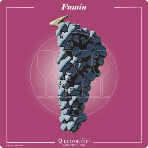 Fumin - Quattrocalici - Italian Wine Grapes
