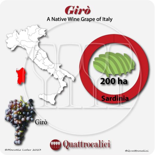 Girò - Quattrocalici - Italian Wine Grapes