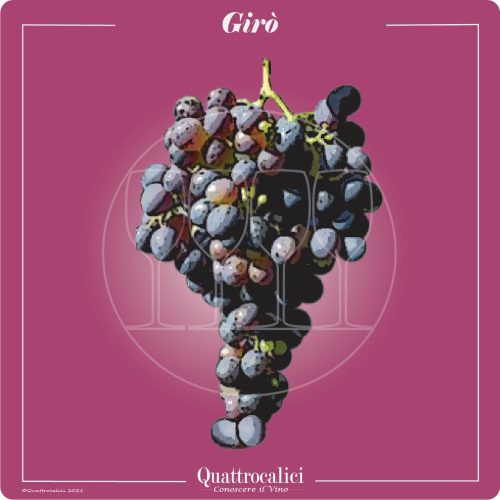 Girò - Quattrocalici - Italian Wine Grapes