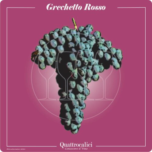 Grechetto rosso - Quattrocalici - Italian Wine Grapes