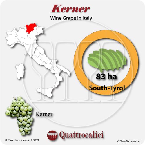 Kerner - Quattrocalici - Italian Wine Grapes