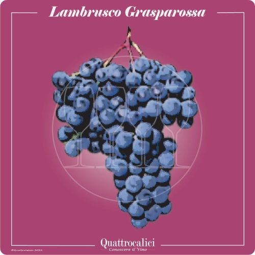 Lambrusco Grasparossa - Quattrocalici - Italian Wine Grapes