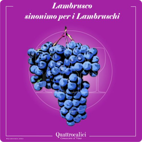 Lambrusco - Quattrocalici - Italian Wine Grapes