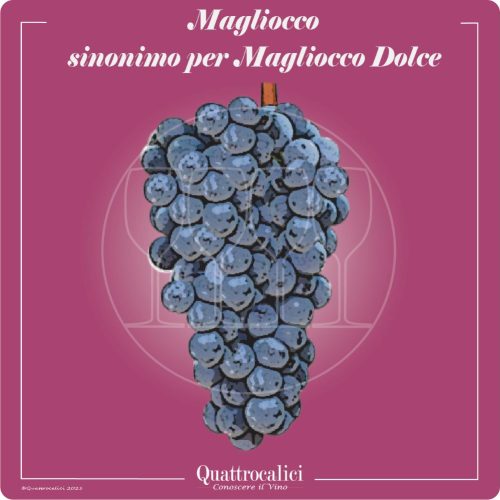 Magliocco - Quattrocalici - Italian Wine Grapes