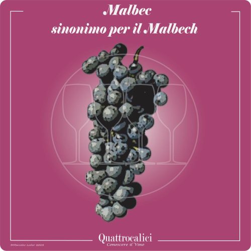 Malbec - Quattrocalici - Italian Wine Grapes