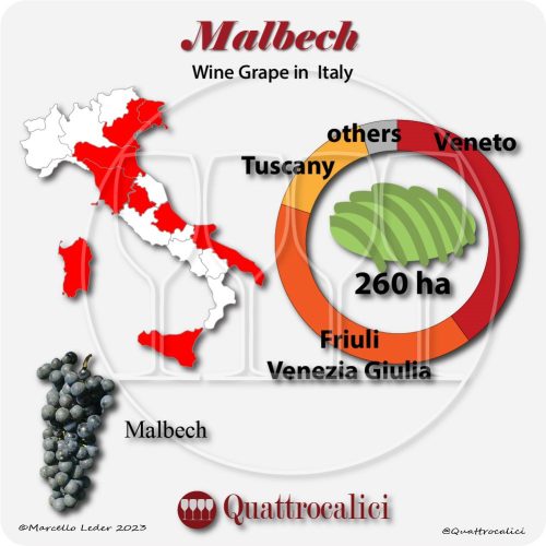 Malbech - Quattrocalici - Italian Wine Grapes
