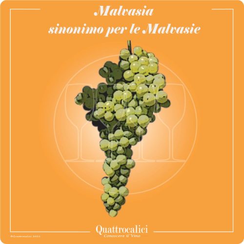 Malvasia - Quattrocalici - Italian Wine Grapes