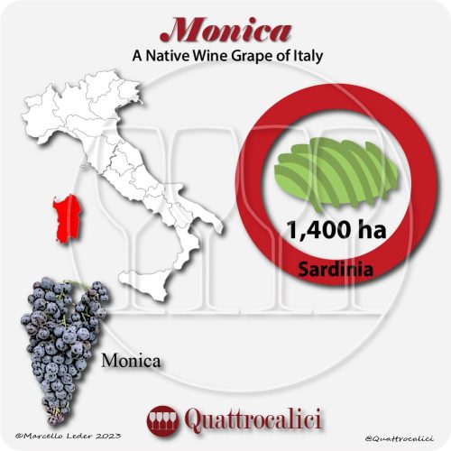 Monica - Quattrocalici - Italian Wine Grapes