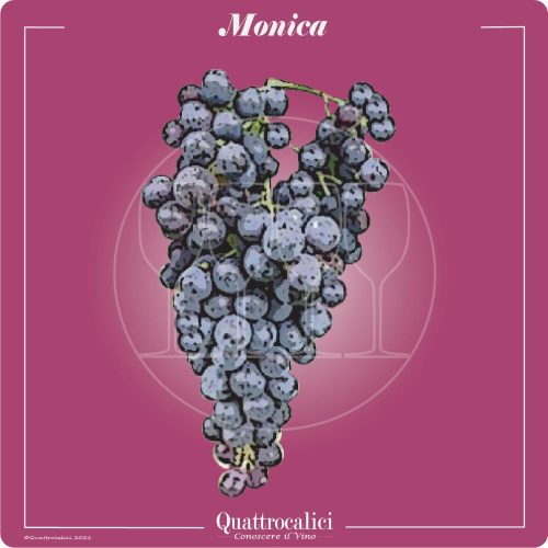 Monica - Quattrocalici - Italian Wine Grapes