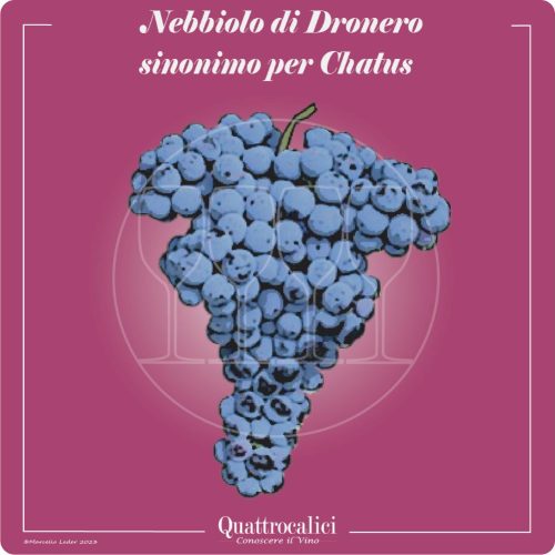 Nebbiolo di Dronero - Quattrocalici - Italian Wine Grapes