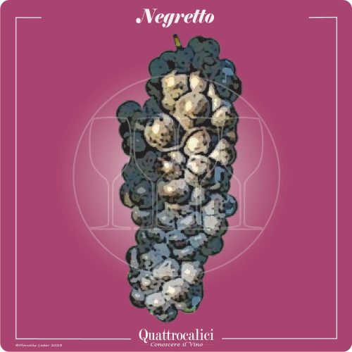 Negretto - Quattrocalici - Italian Wine Grapes