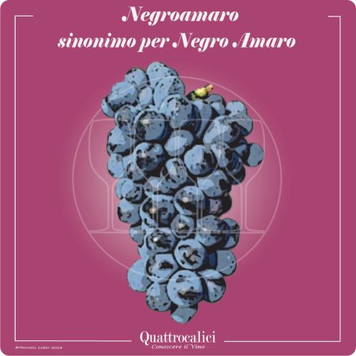 Negroamaro - Quattrocalici - Italian Wine Grapes