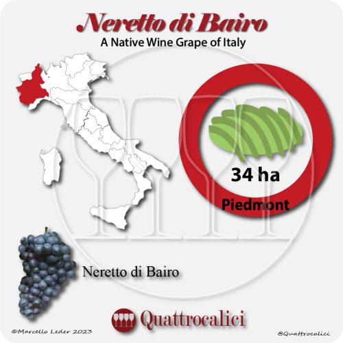 Neretto di Bairo - Quattrocalici - Italian Wine Grapes