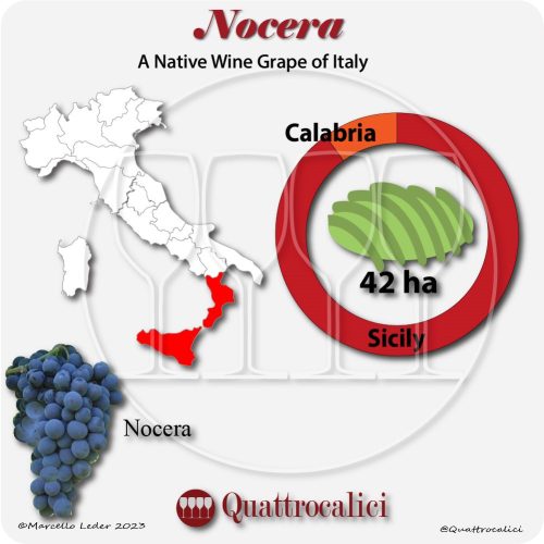 Nocera - Quattrocalici - Italian Wine Grapes