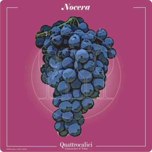 Nocera - Quattrocalici - Italian Wine Grapes