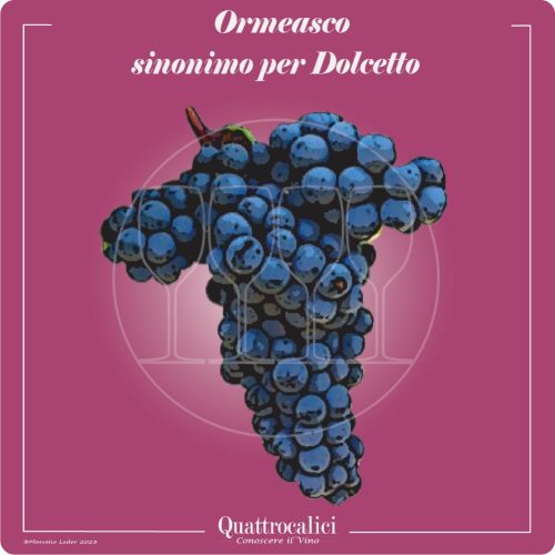 Ormeasco - Quattrocalici - Italian Wine Grapes