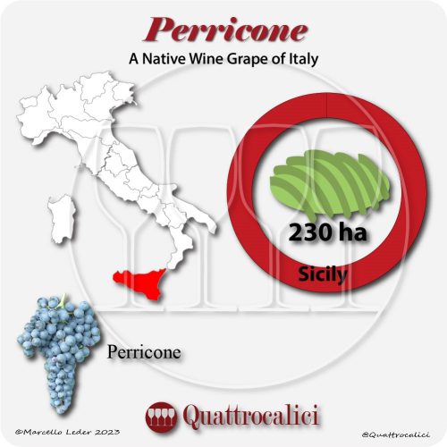 Perricone - Quattrocalici - Italian Wine Grapes