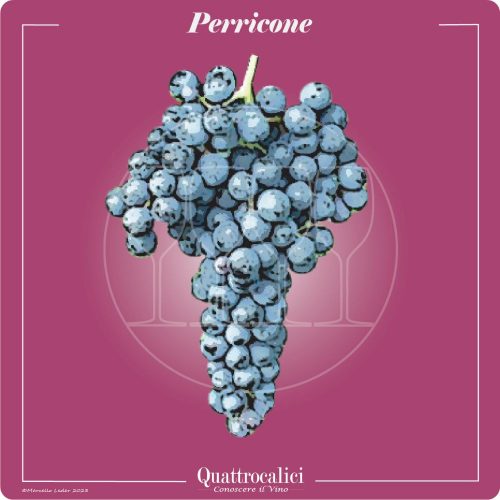Perricone - Quattrocalici - Italian Wine Grapes