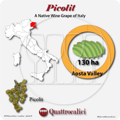 Picolit - Quattrocalici - Italian Wine Grapes