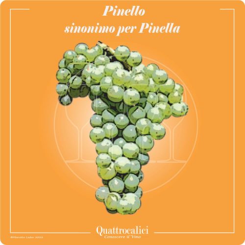 Pinello - Quattrocalici - Italian Wine Grapes