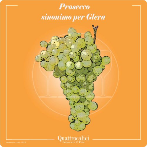 Prosecco - Quattrocalici - Italian Wine Grapes