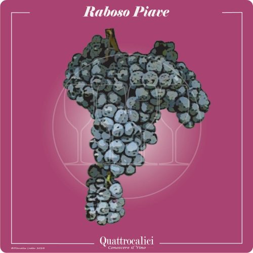 Raboso Piave - Quattrocalici - Italian Wine Grapes