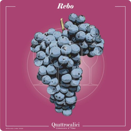 Rebo - Quattrocalici - Italian Wine Grapes