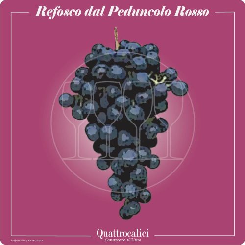 Refosco dal peduncolo rosso - Quattrocalici - Italian Wine Grapes